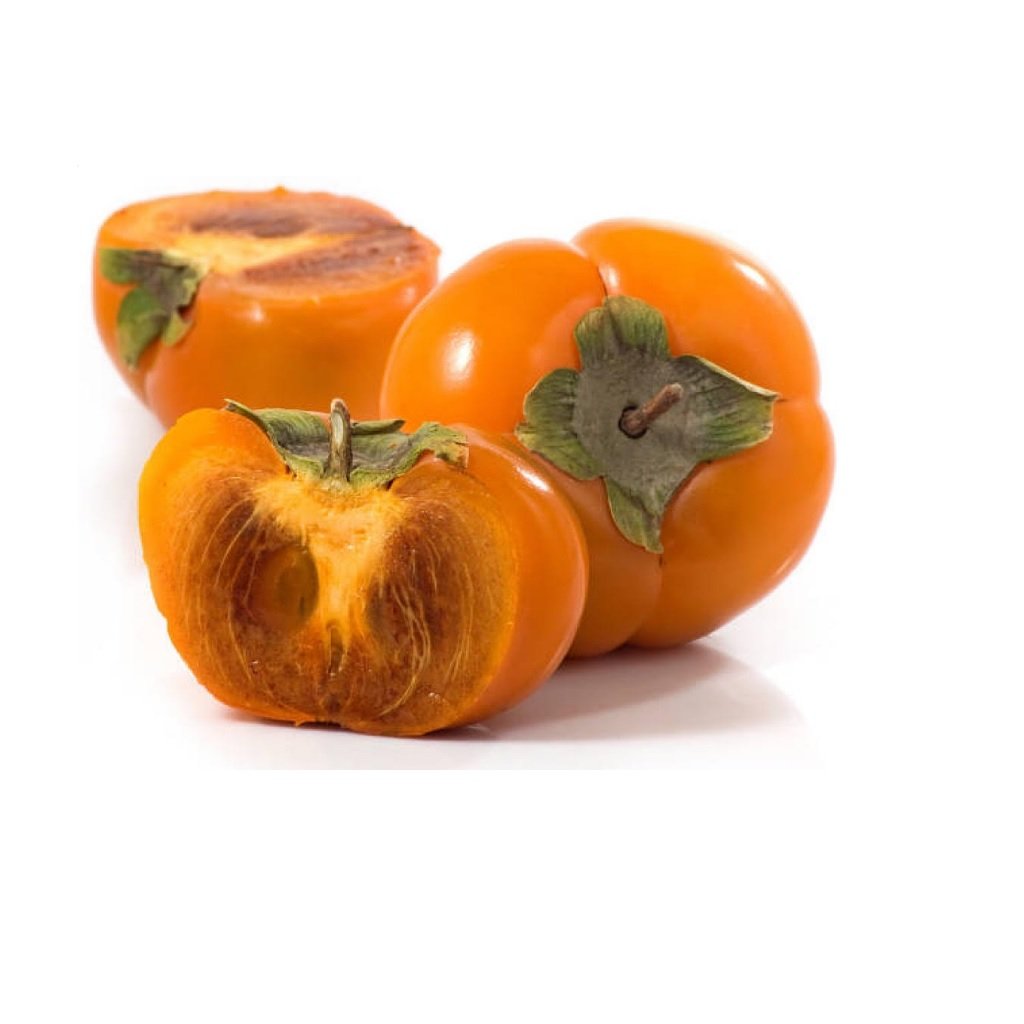 Muda de Caqui Café (Chocolate) Enxertado