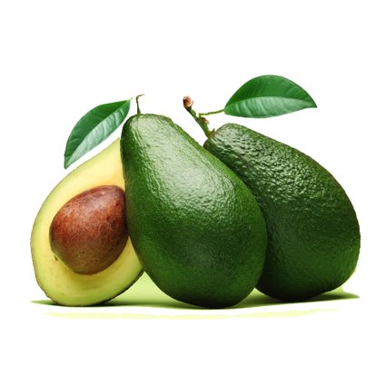 Muda de Abacate Geada Enxertado